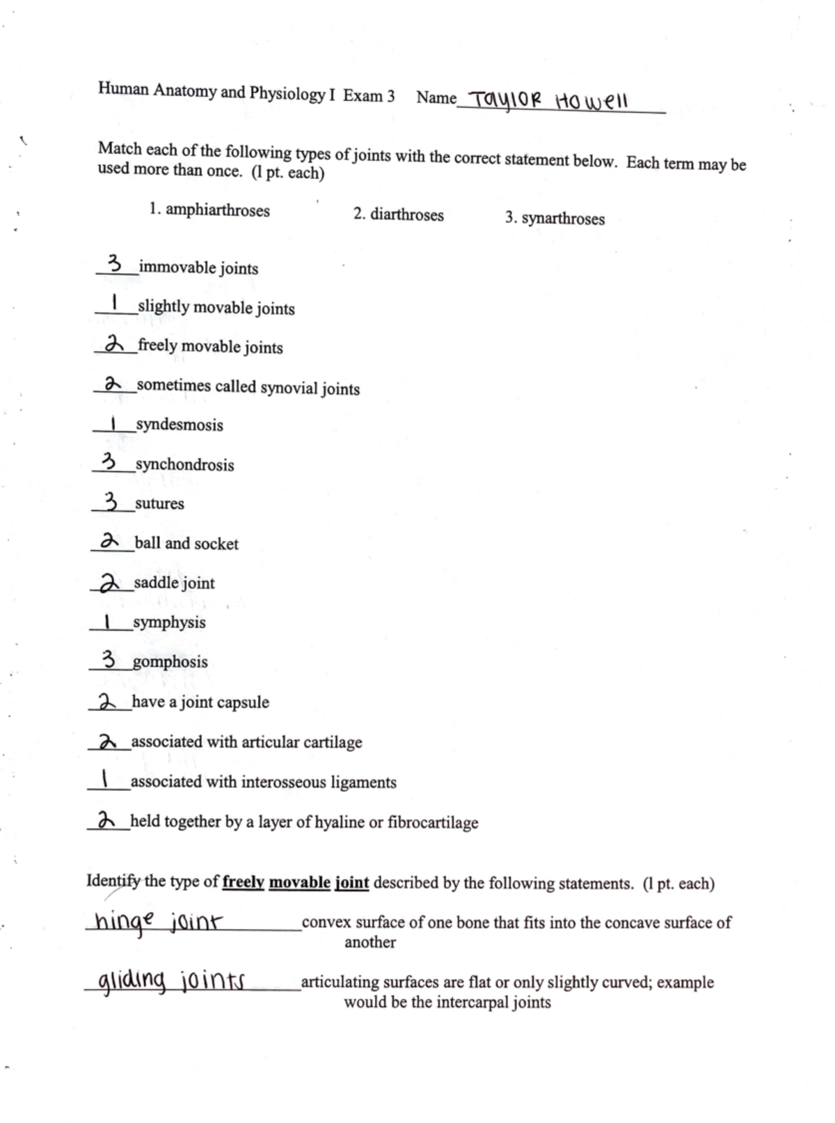 Exam 3 - Human Anatomy and Physiology I Unit 3 Questions - Studocu