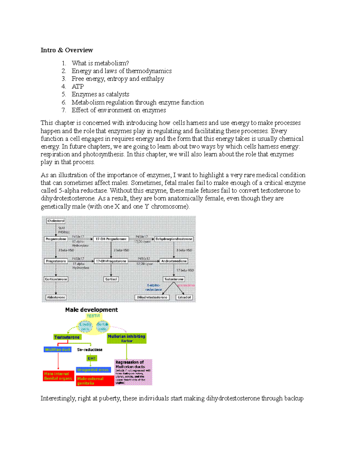 Metabolism & Enzyme Regulation: Understanding Energy & Enzymes (BIO101 ...
