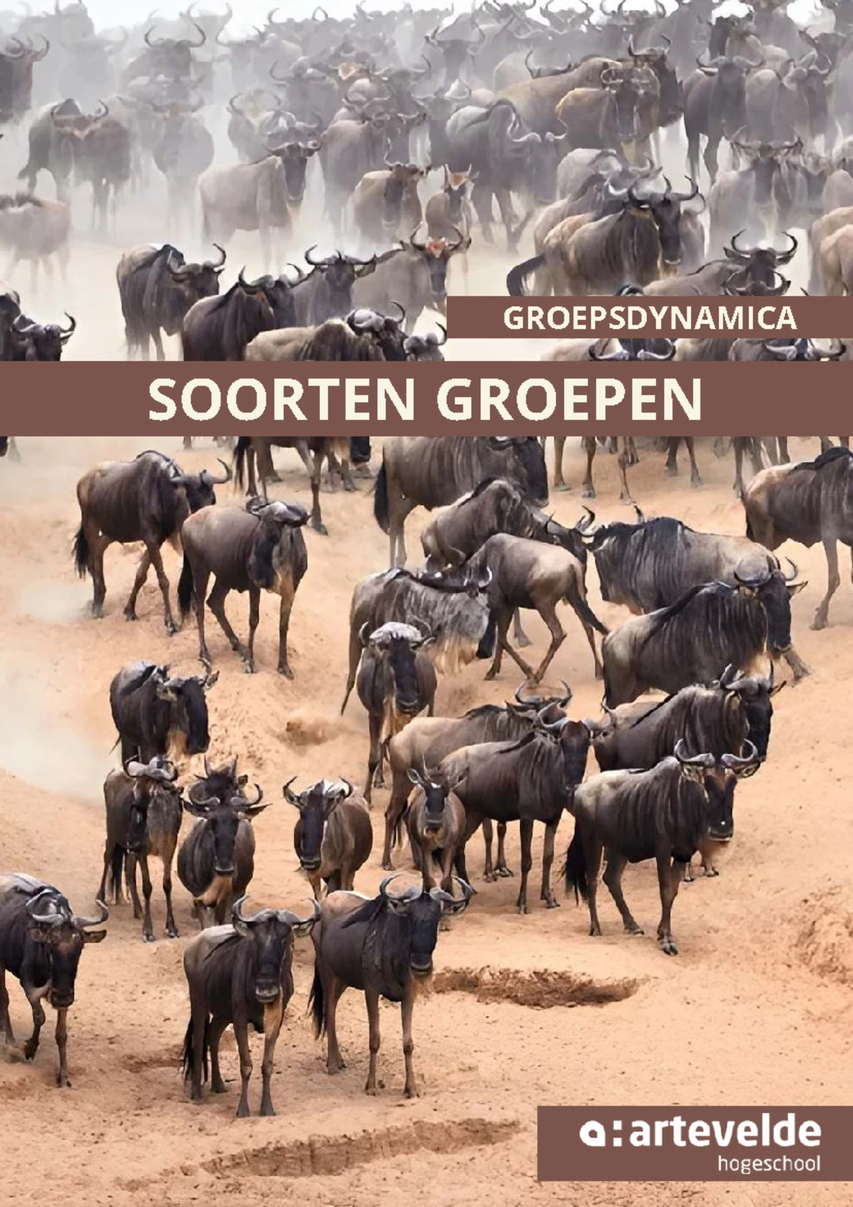 Tekst 01 - Soorten groepen - SOORTEN GROEPEN GROEPSDYNAMICA SOORTEN ...