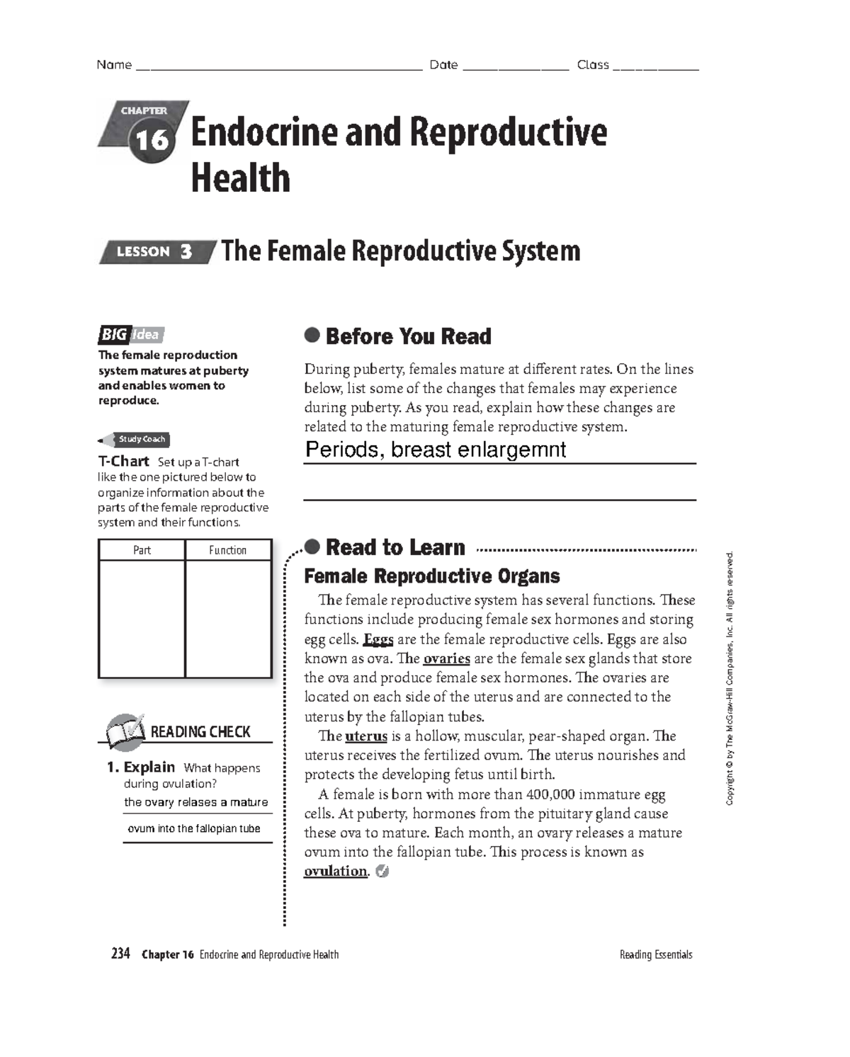 Ch.16 L.3 The Female Reproductive System - Essential Study Guide - Studocu