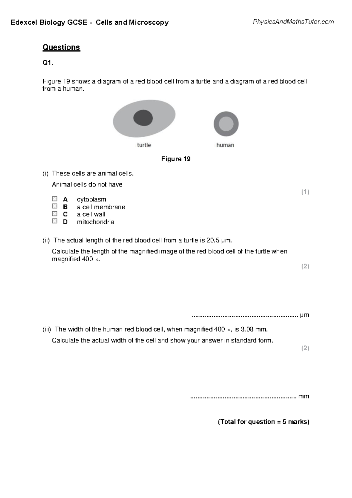 Cells and Microscopy - Edexcel Biology GCSE Exam Questions - Studocu