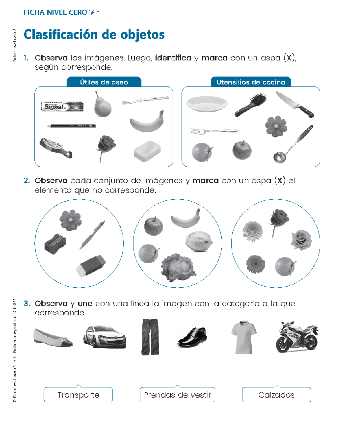 Fichas De Clasificación De Objetos