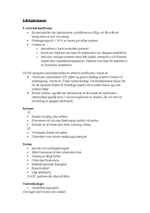 VIPS Modellen: Struktur för Omvårdnadsbedömning inom Sjukvård - Studocu