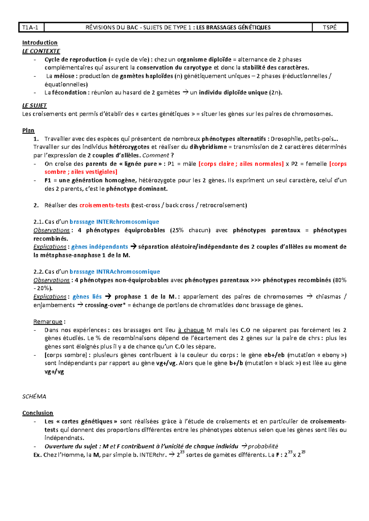 Correction Sujet 1 : Brassages Chromosomiques - Révisions Bac TSPÉ - Studocu
