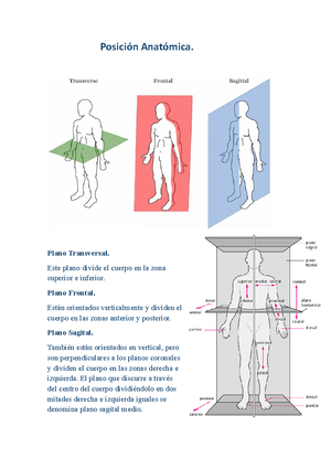 Estructura y sistema anatómico - Estructura y sistema anatómico ...