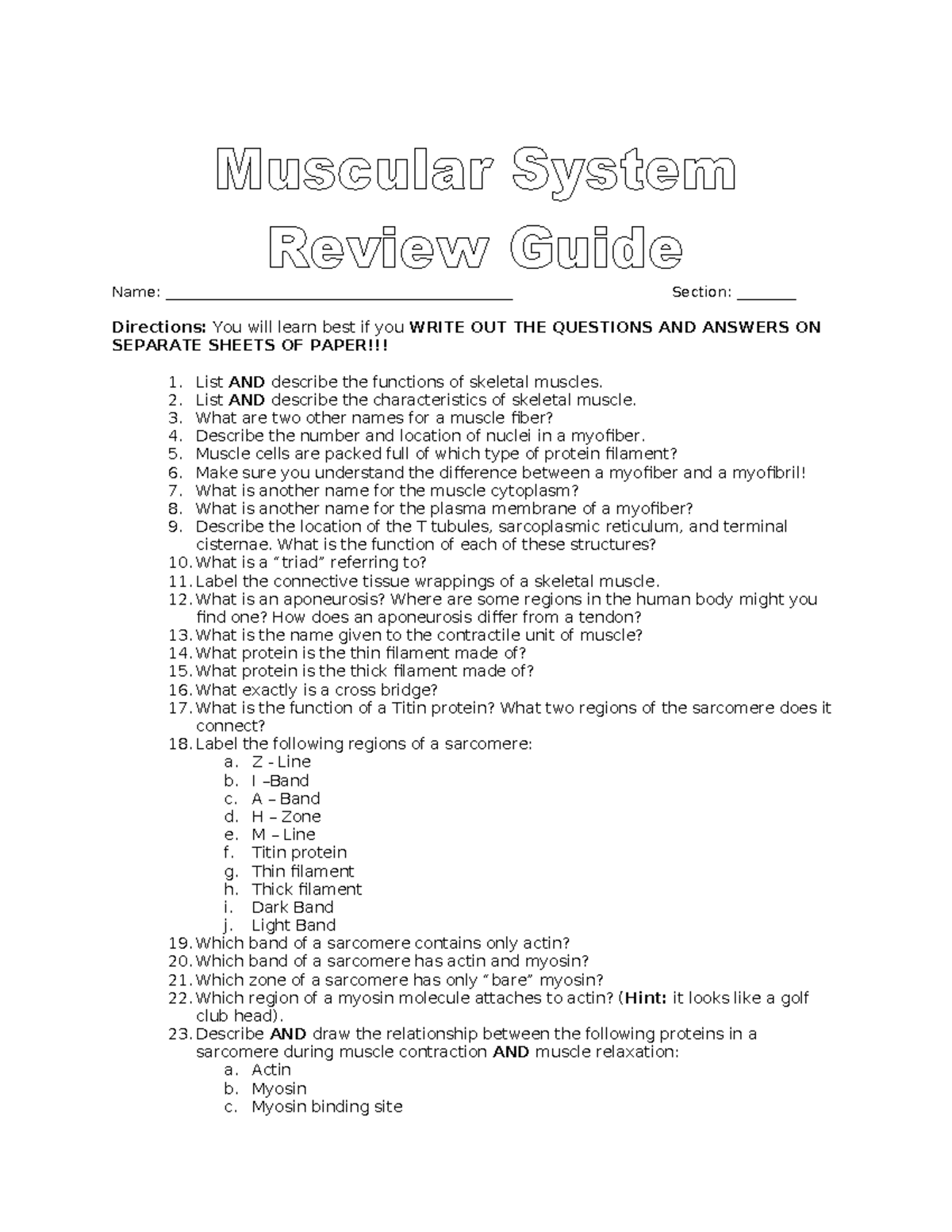 Muscular System Review Guide: Essentials for Exam Prep - Studocu