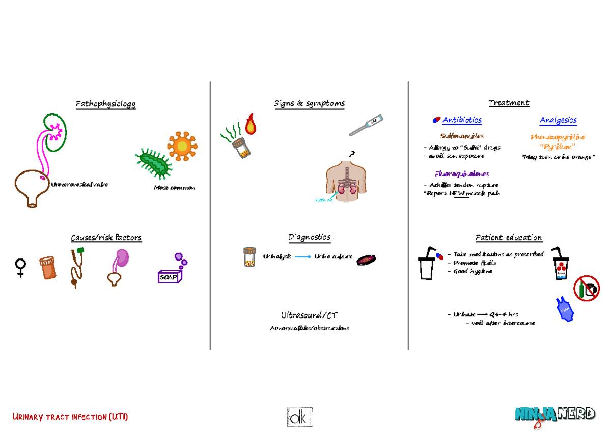 Nursing Pathology - Urinary Tract Infection (UTI) ~ [Illustrations ...