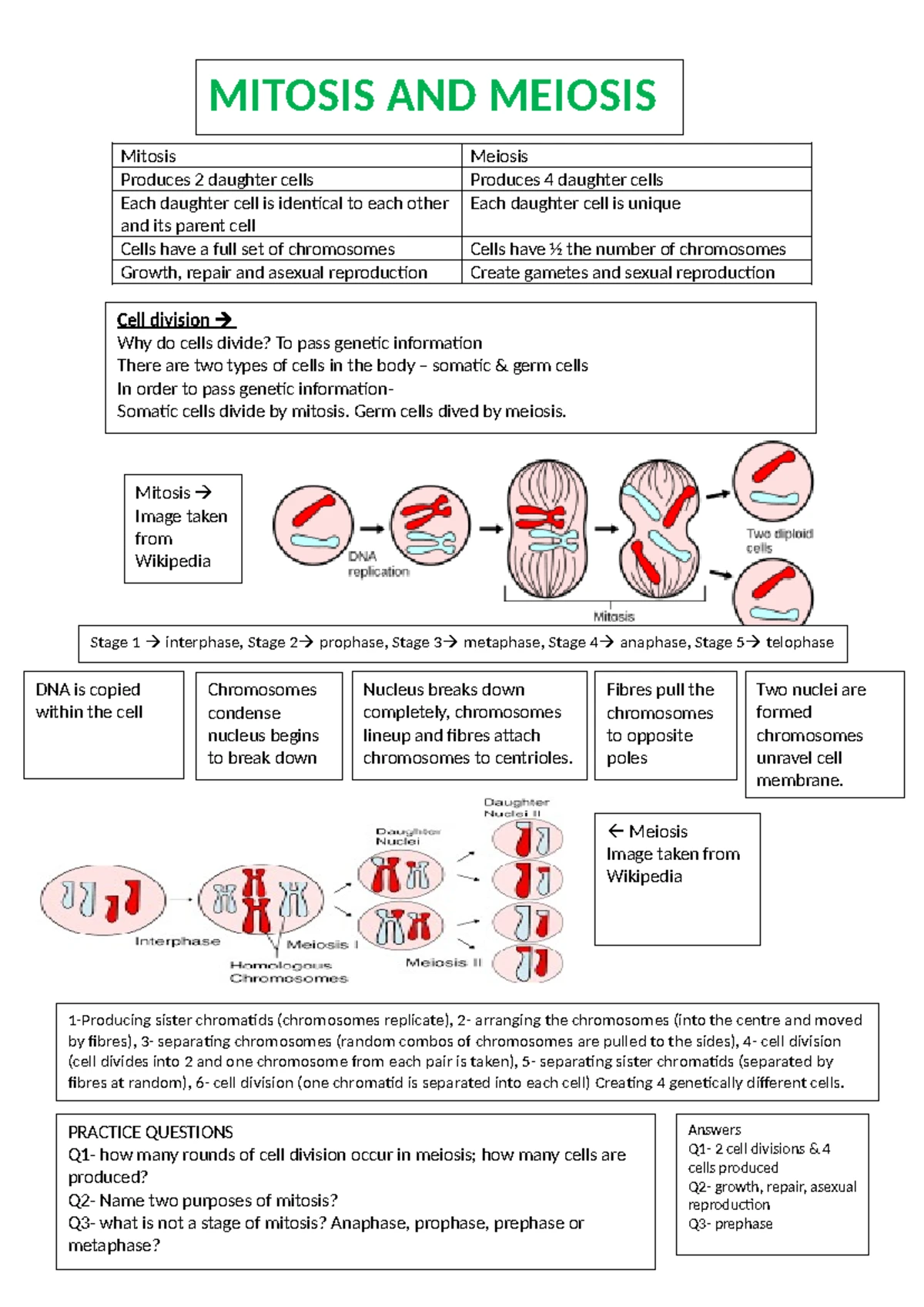 Unit 4 workbook - book - The Structure and Function of Cells Assignment ...