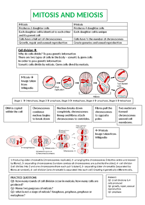 [Solved] Explain how the structure of the cell plasma membrane relates ...