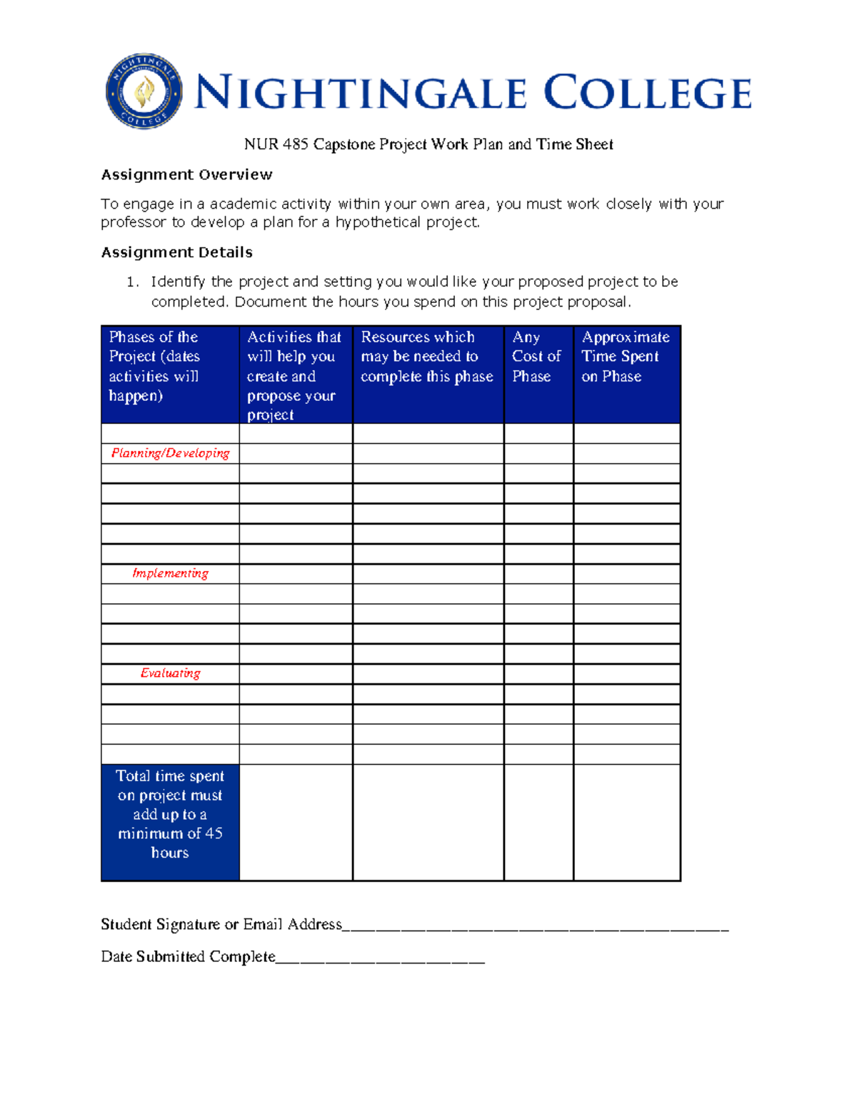 NUR 485 Capstone Project Work Plan & Time Sheet Template - Studocu