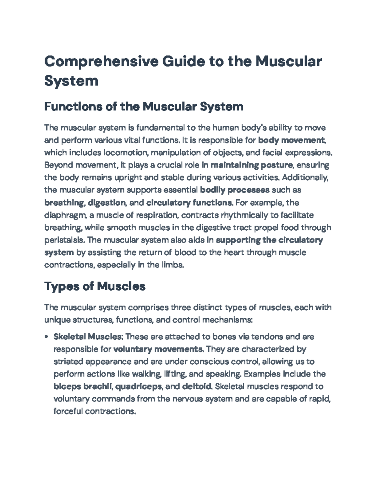 Comprehensive Guide to the Muscular System: Functions & Types - Studocu