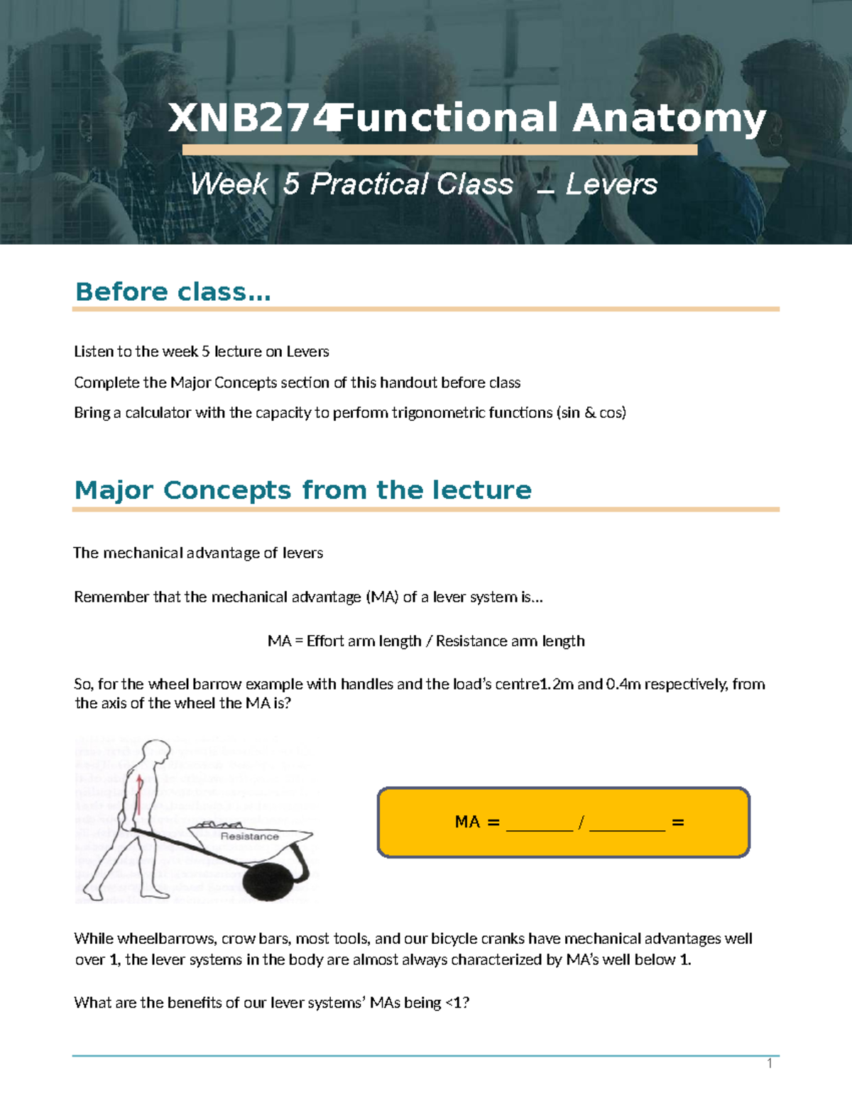 XNB274 Functional Anatomy Week 5 Practical: Understanding Levers - Studocu