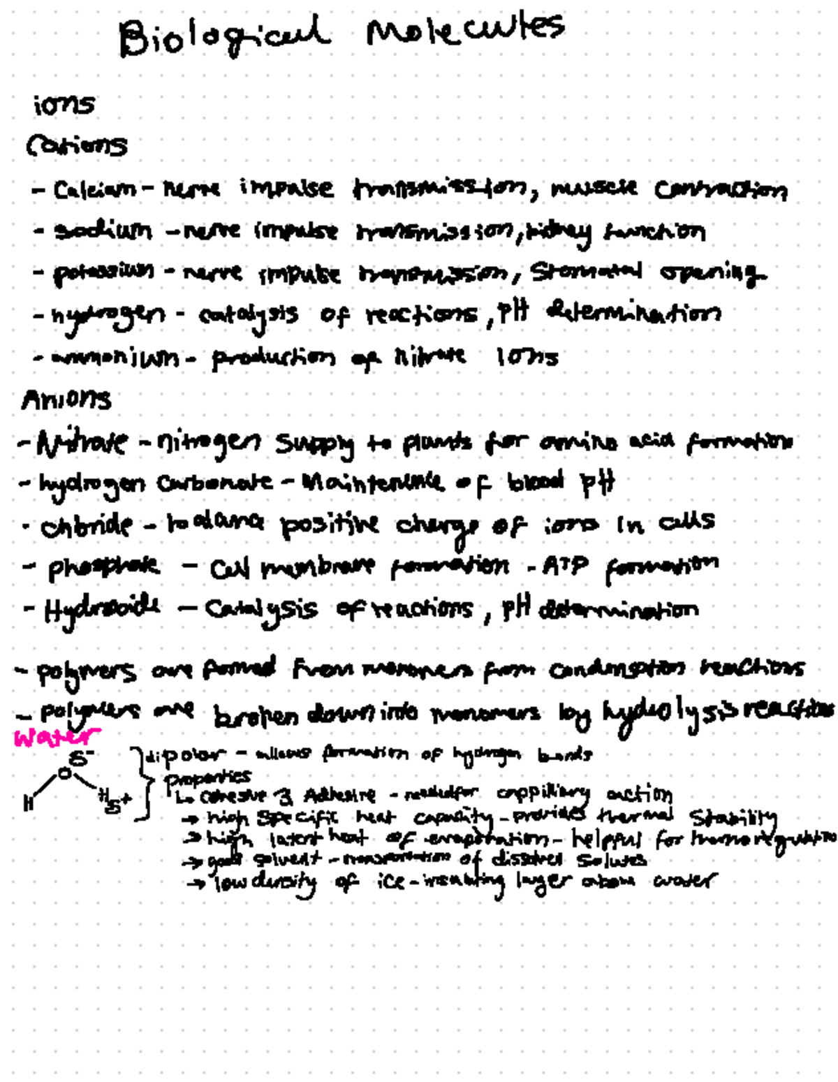 Bio 2 - OCR A Biological Molecules: Structure, Function, and Transport - Studocu