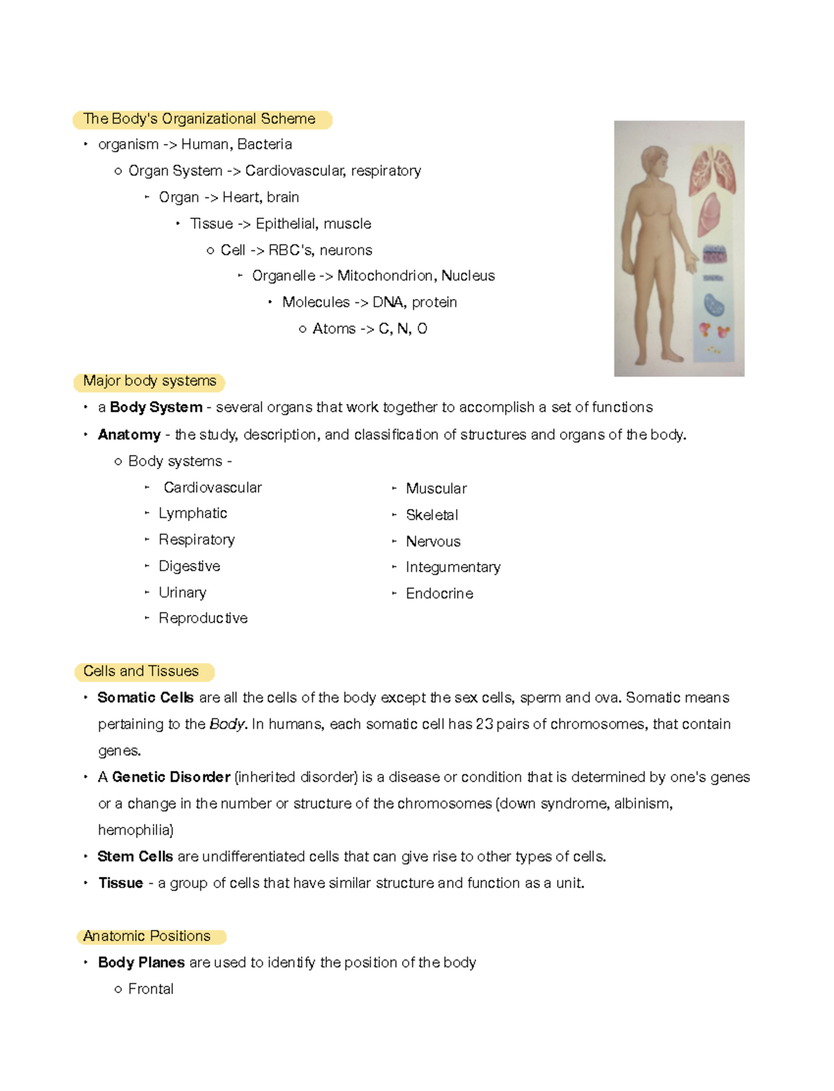 Chapter 3: Organization of the Body - Systems, Cells, and Anatomy - Studocu
