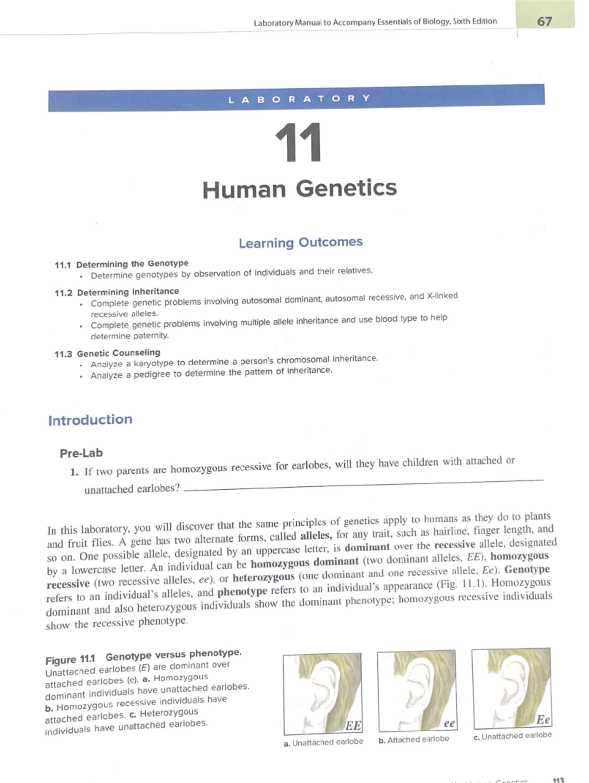 BIO 110L Final Exam Lab: Human Genetics and Inheritance Principles ...