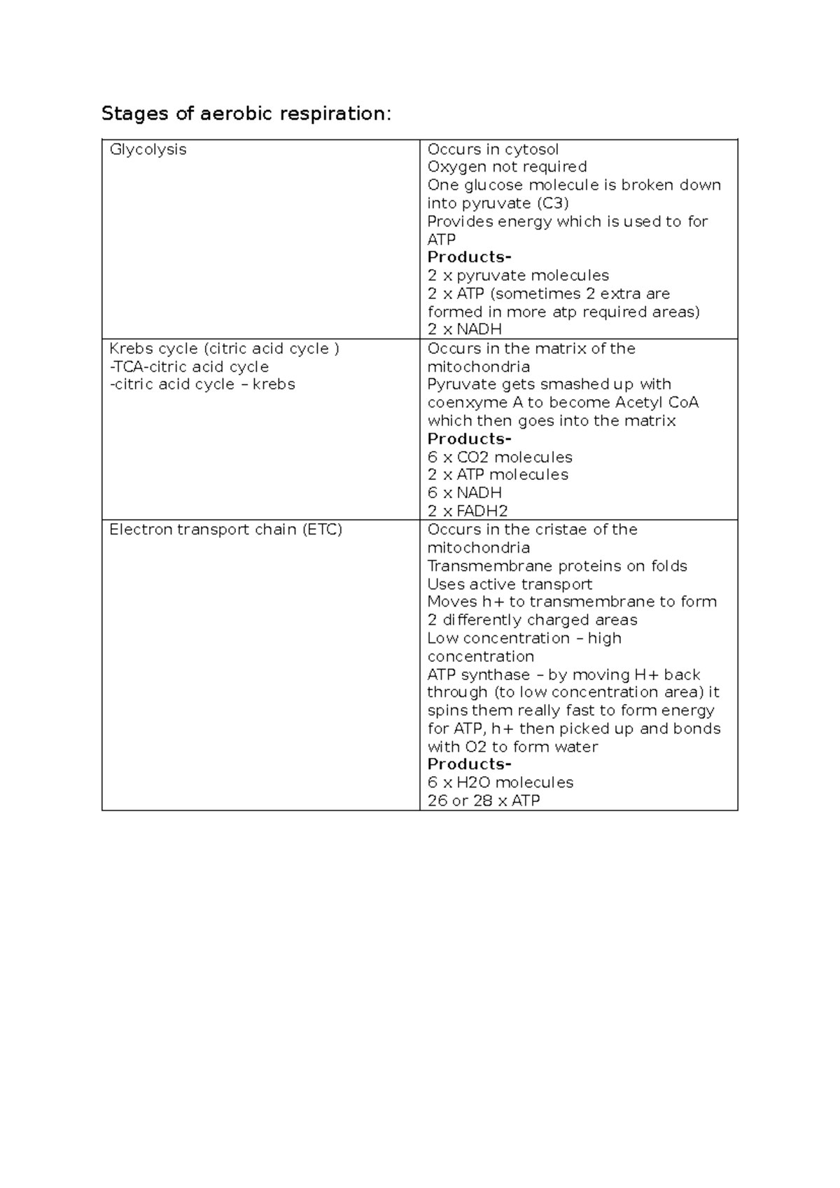 Stages of Aerobic Respiration: Glycolysis, Krebs Cycle & ETC - Studocu
