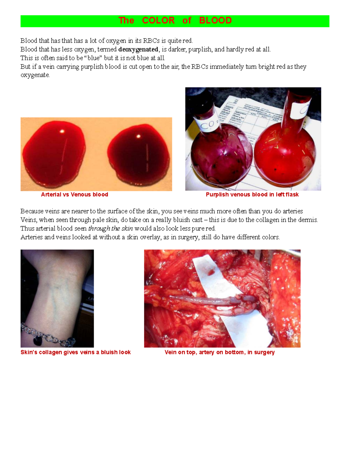Understanding Blood Color and Vessel Types in Circulation (ANAT 101 ...