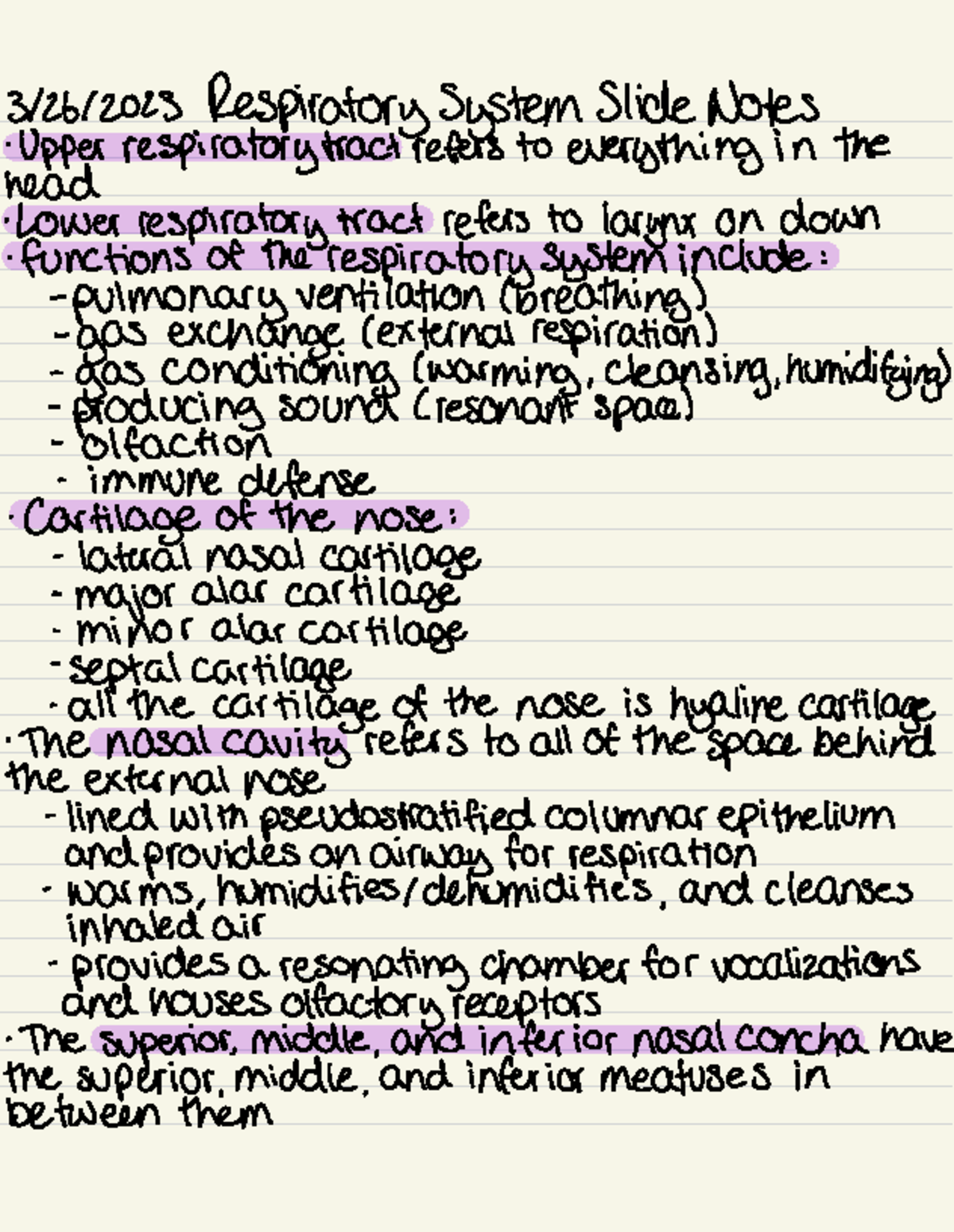 Cell 220 - Respiratory System Slide Notes and Key Concepts - Studocu
