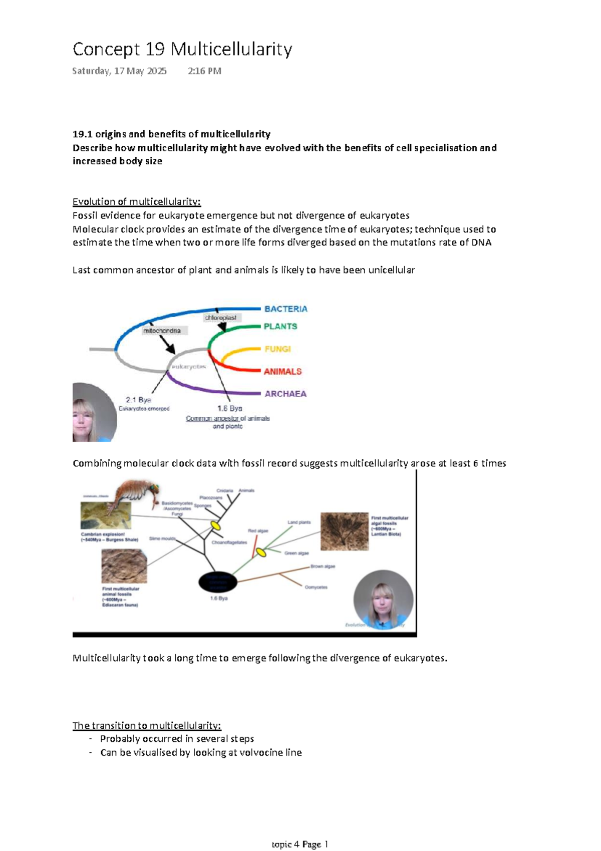 Concept 19: Evolution and Benefits of Multicellularity in Organisms ...