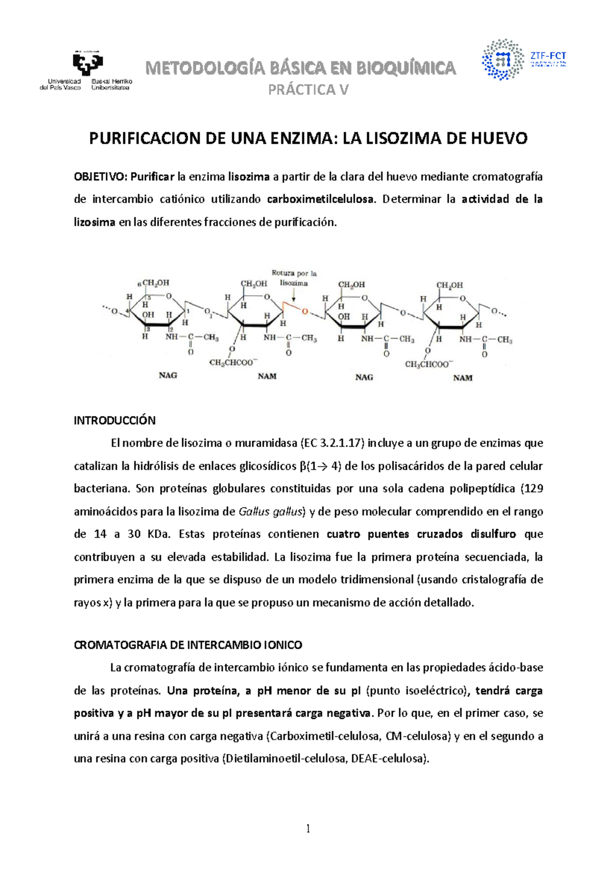 Práctica 5 - Purificación de Lisozima mediante Cromatografía de Intercambio Iónico - Studocu