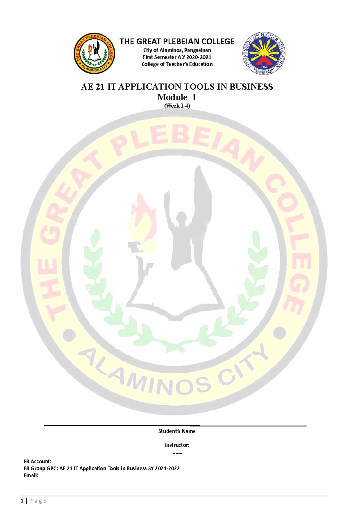 AE 21 IT Application Tools IN Business for bsba - THE GREAT PLEBEIAN ...