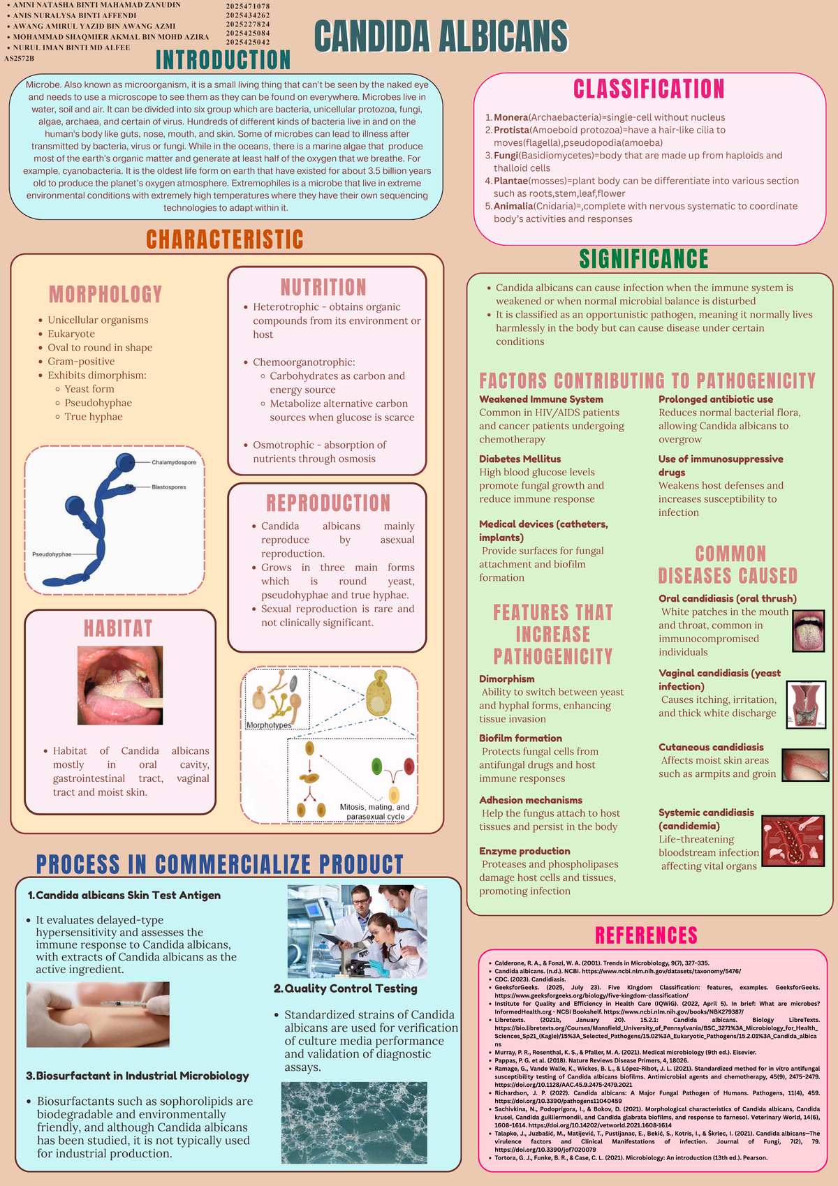 MIC462 Final Exam: Candida albicans Overview and Pathogenicity - Studocu