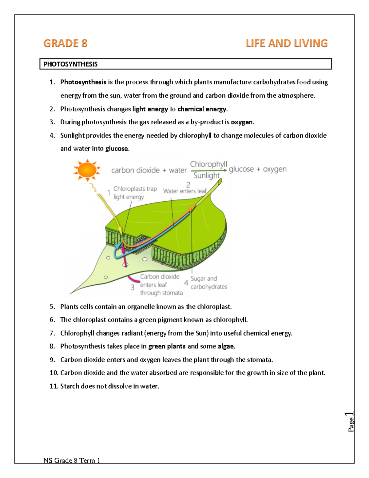 NS Grade 8 Life and Living Term 1 Study Notes on Photosynthesis - Studocu