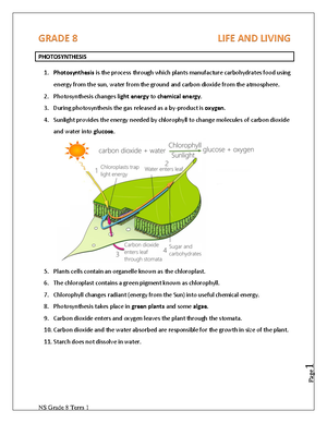 3. EMS grade 8 Nov 2023 P1 MG Final - Grade 8 ECONOMICS AND MANAGEMENT ...