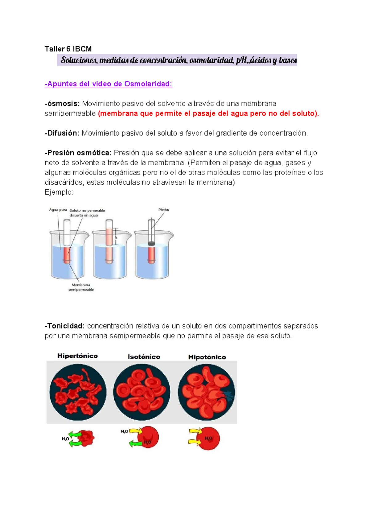 Taller 6 IBCM: Soluciones, Osmolaridad, pH y Movimiento de Solutos ...