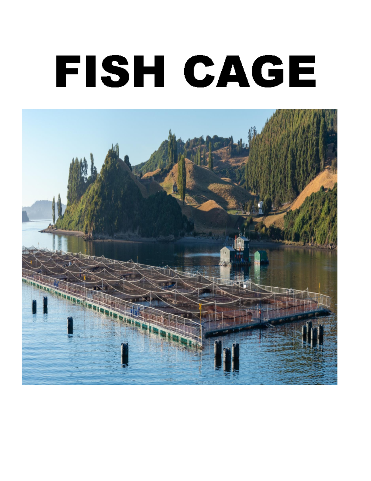 FISH CAGE Culture Systems: Design, Advantages, and Challenges - Studocu