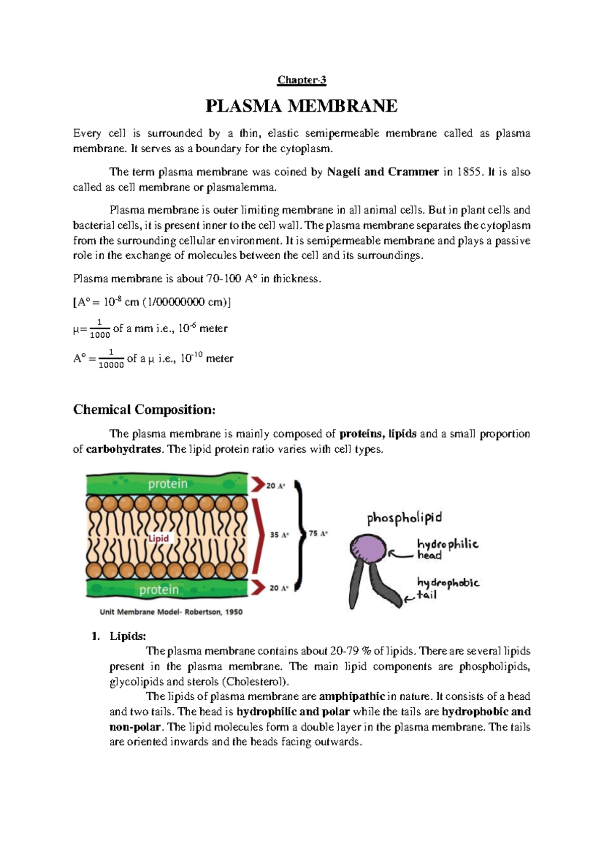 Fybsc PLASMA MEMBRANE: Structure, Functions & Transport Mechanisms ...