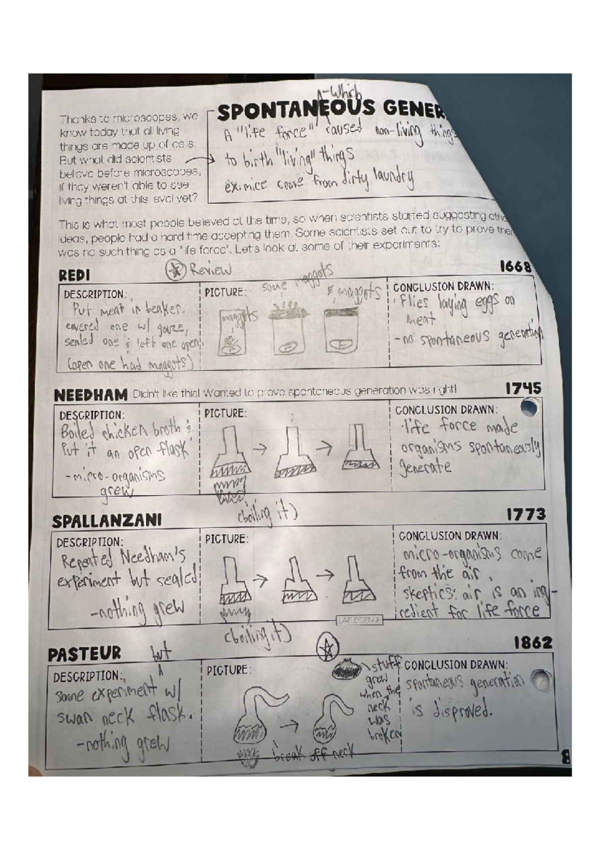 BIO101: Spontaneous Generation Theory and Its Timeline - Studocu