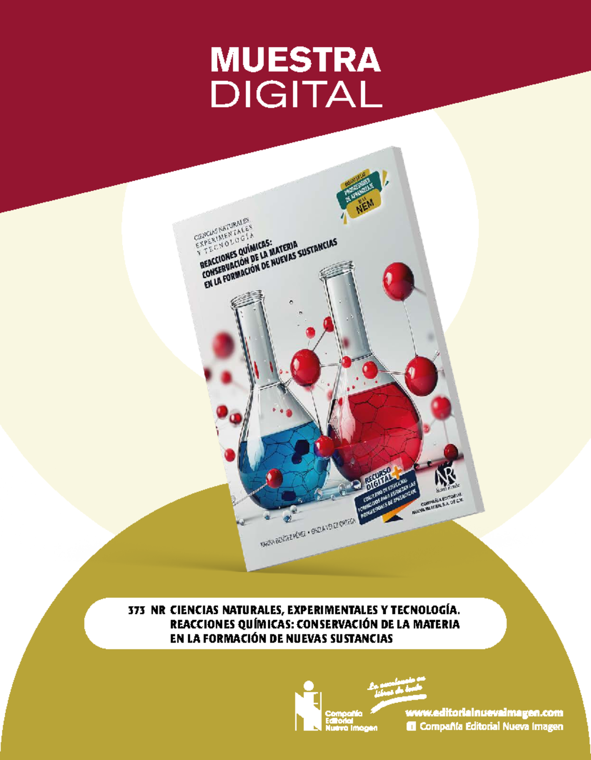 Reacciones Químicas: Conservación de la Materia en Nuevas Sustancias ...