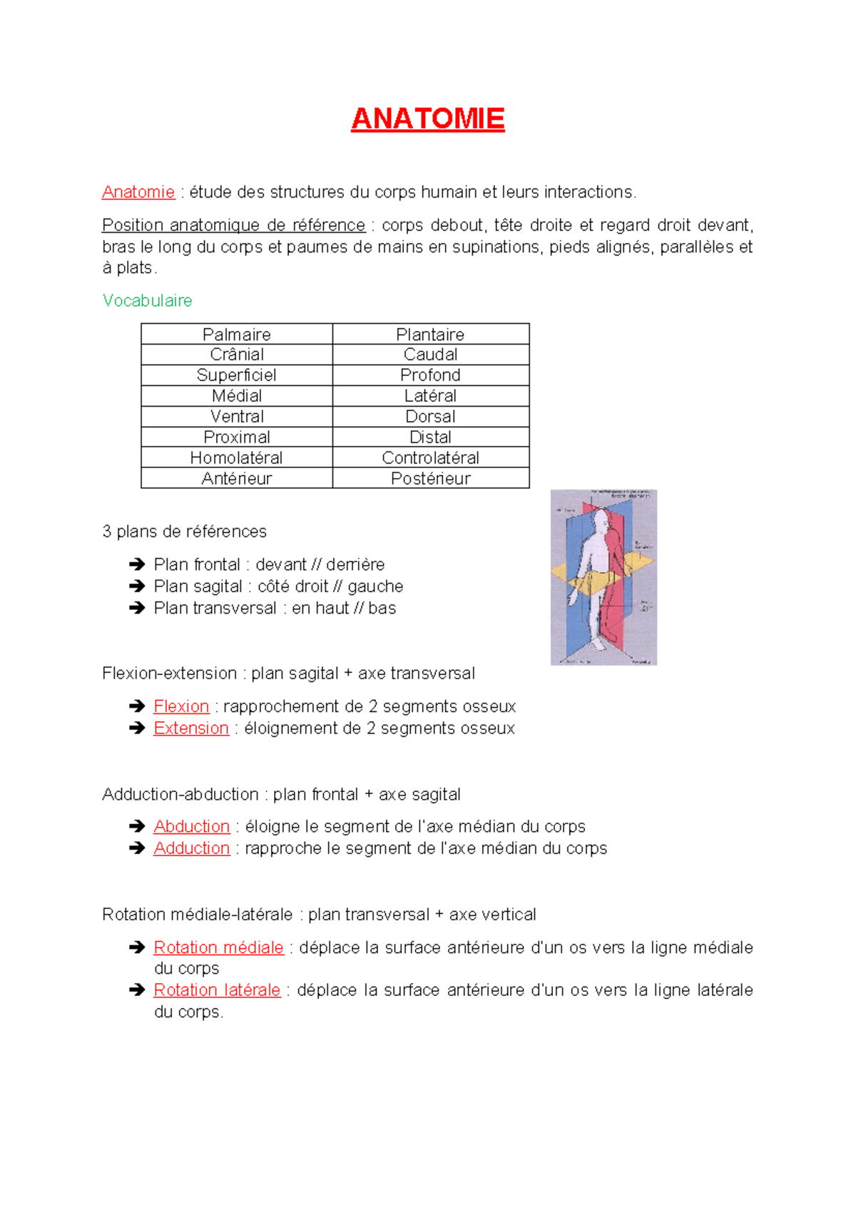 Cours ANATOMIE : Position Anatomique et Structures Corporelles - Studocu
