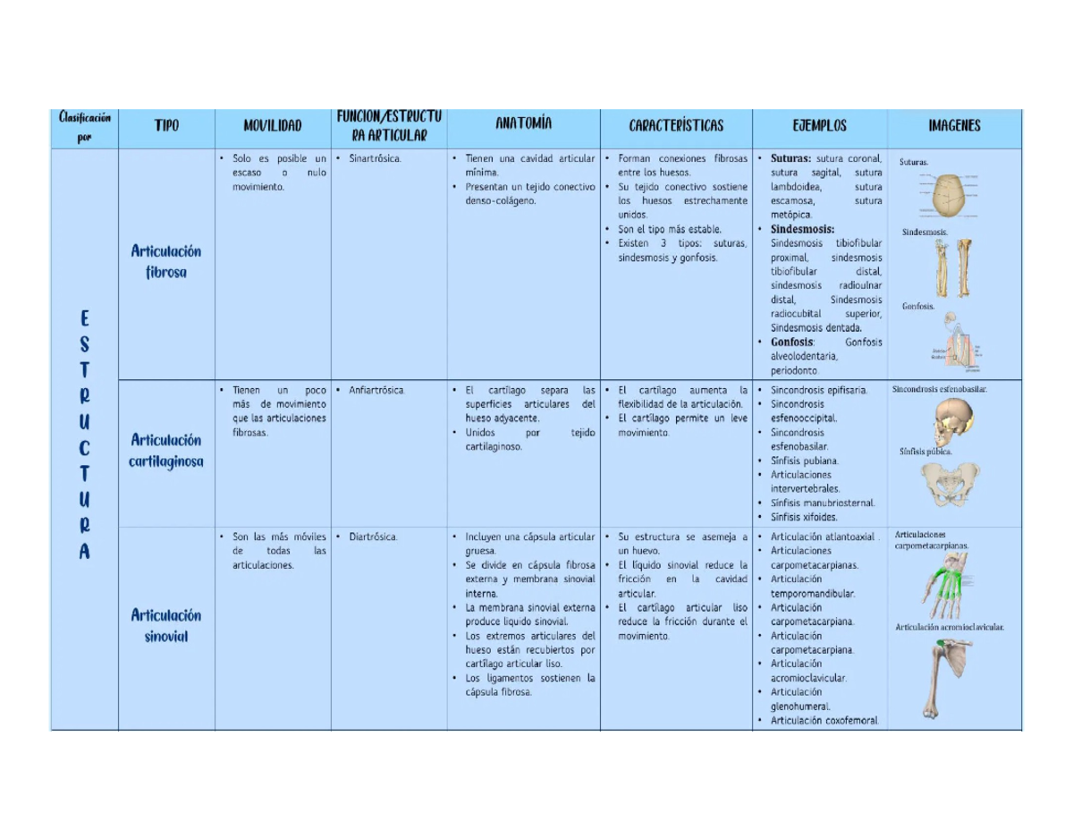 Tipos de Articulaciones: Anatomía y Movimientos (ANAT 101) - Studocu