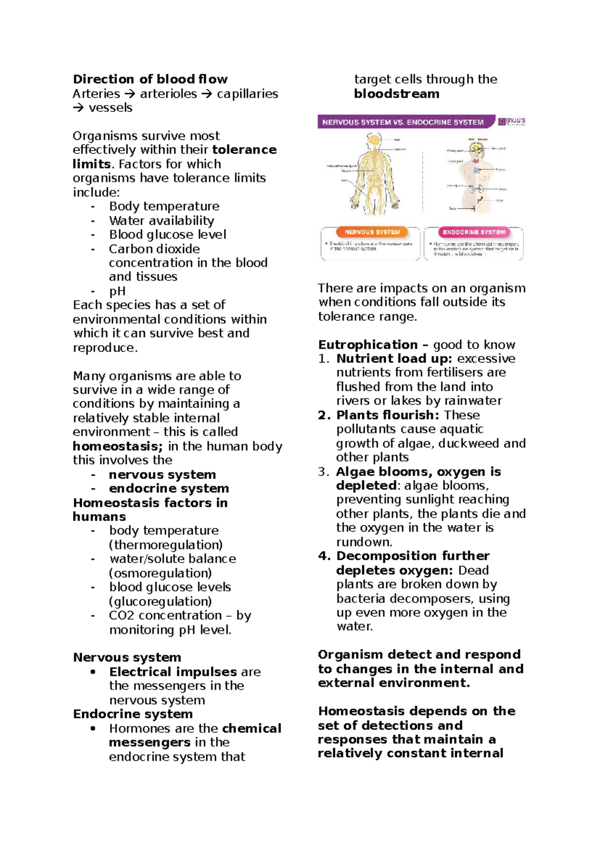Homeostasis Notes 2023: Understanding Blood Flow and Regulation - Studocu