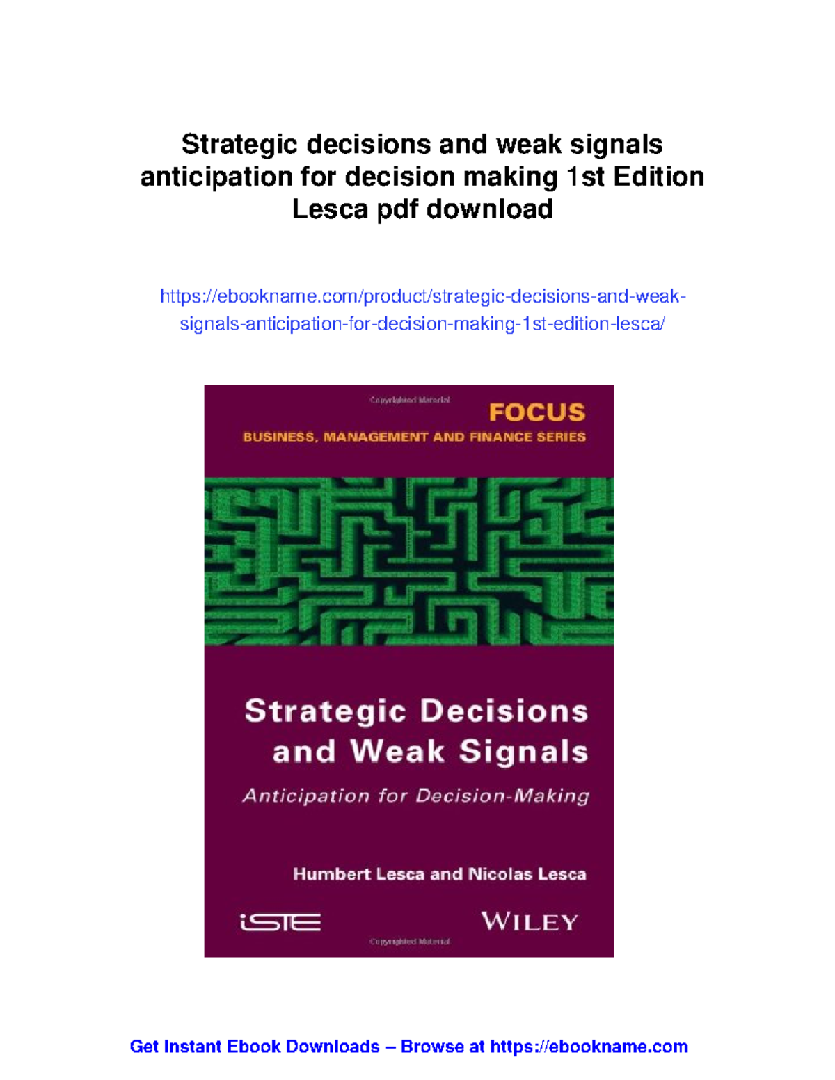 Strategic Decisions and Weak Signals Anticipation for Decision Making ...