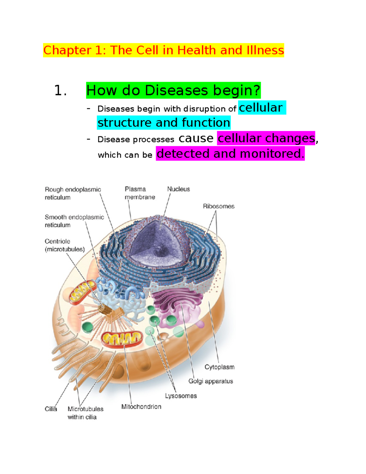 CHAP 1 Pathophysiology Notes: The Cell in Health and Illness - Studocu
