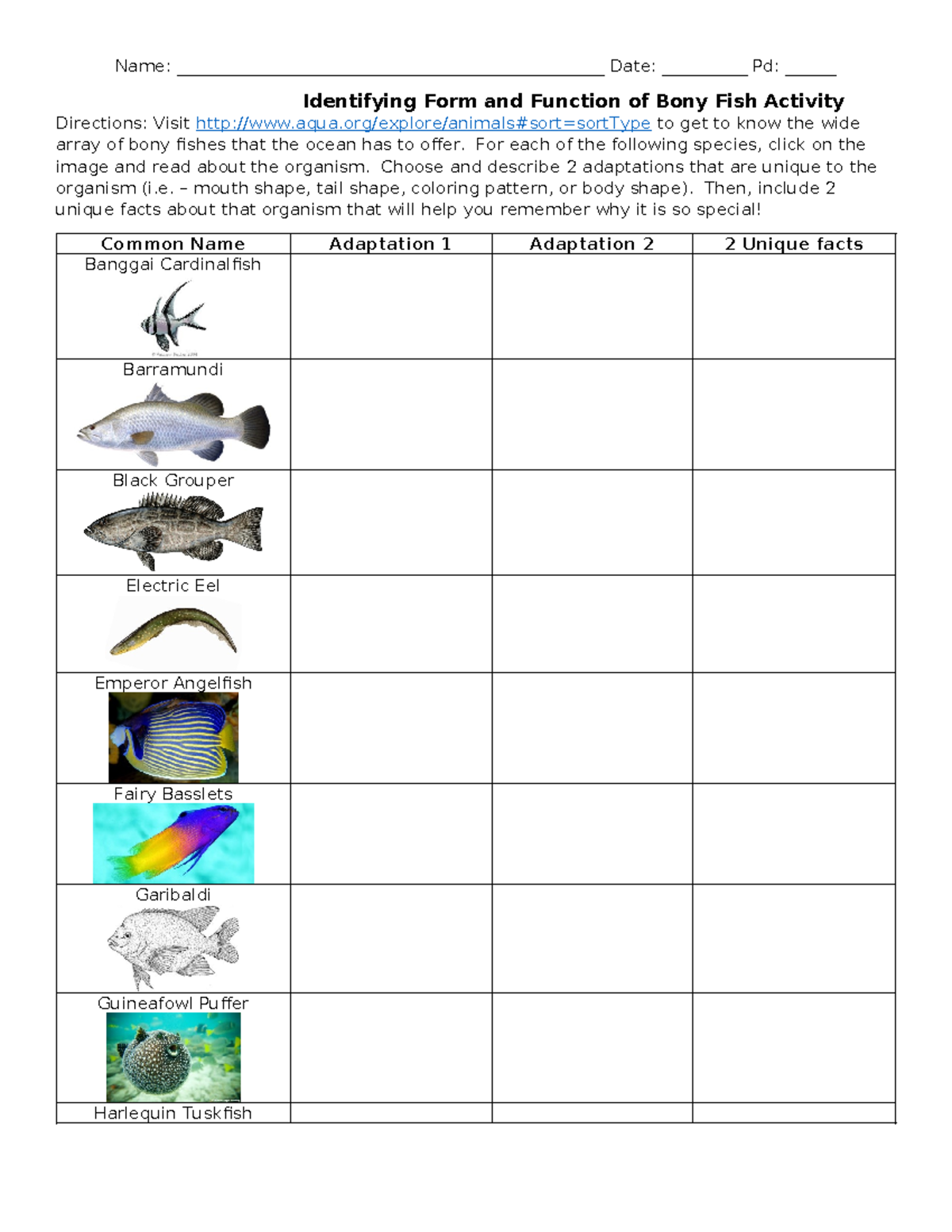05 Bony Fish Identification Activity for Aquarium Study - Studocu