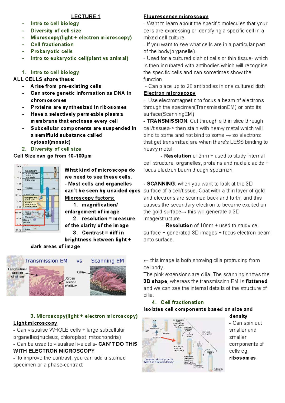 CELL 101: Lecture Notes on Cell Diversity, Microscopy, and Functions ...