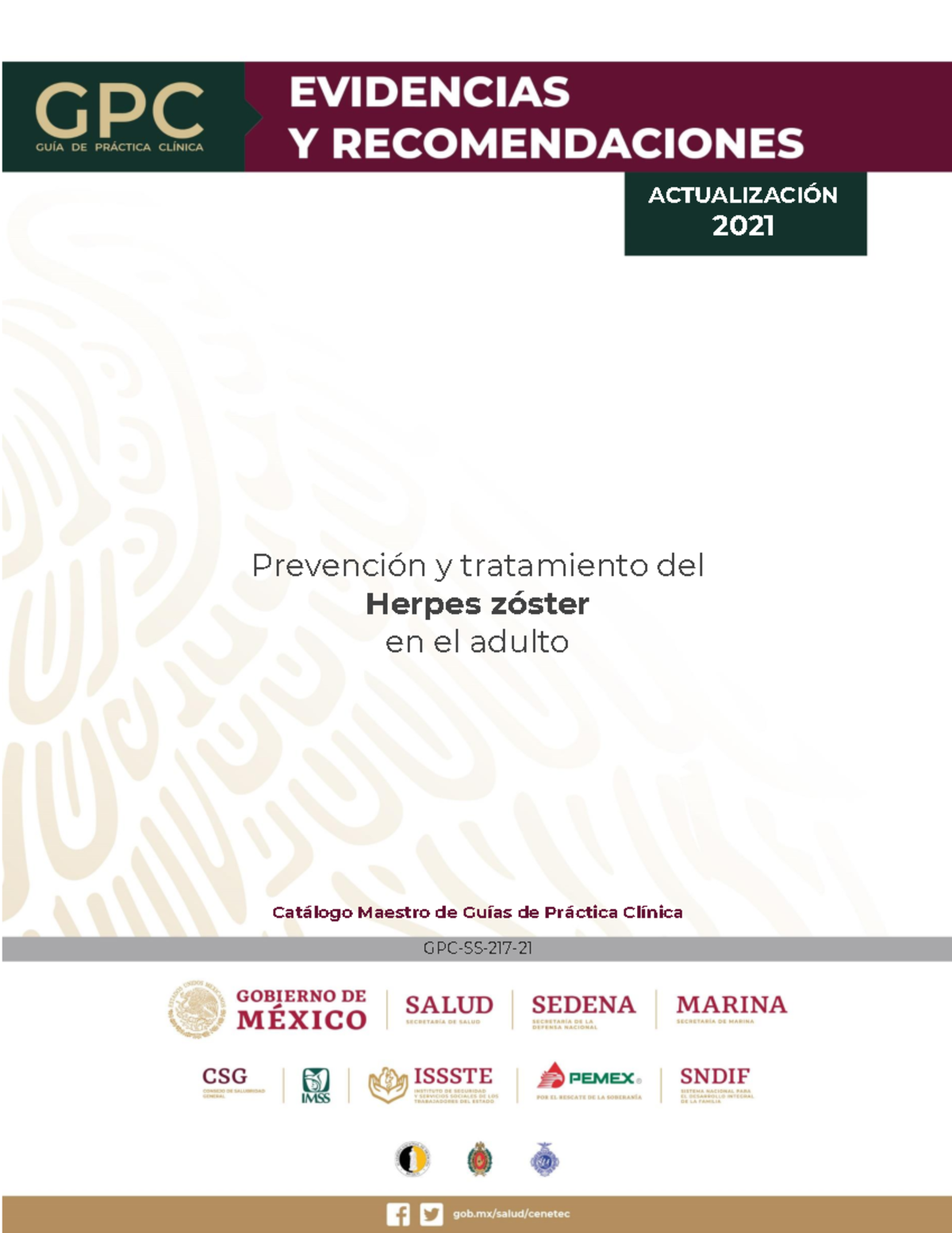 Guía de Práctica Clínica 2021: Prevención y Tratamiento del Herpes ...