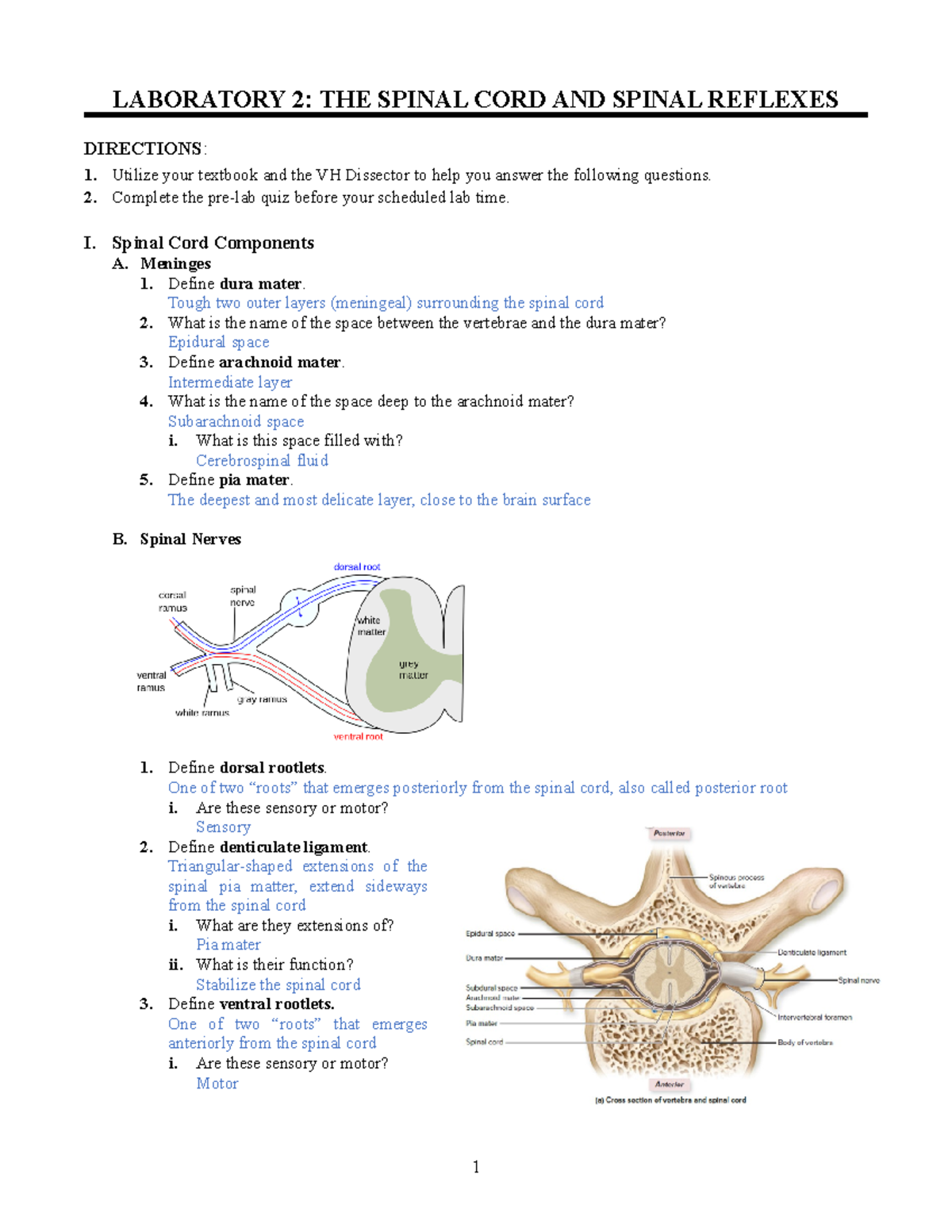 HSCI 102 Lab 2 Pre-Lab Worksheet Winter 2023 - LABORATORY 2: THE SPINAL CORD AND SPINAL REFLEXES ...