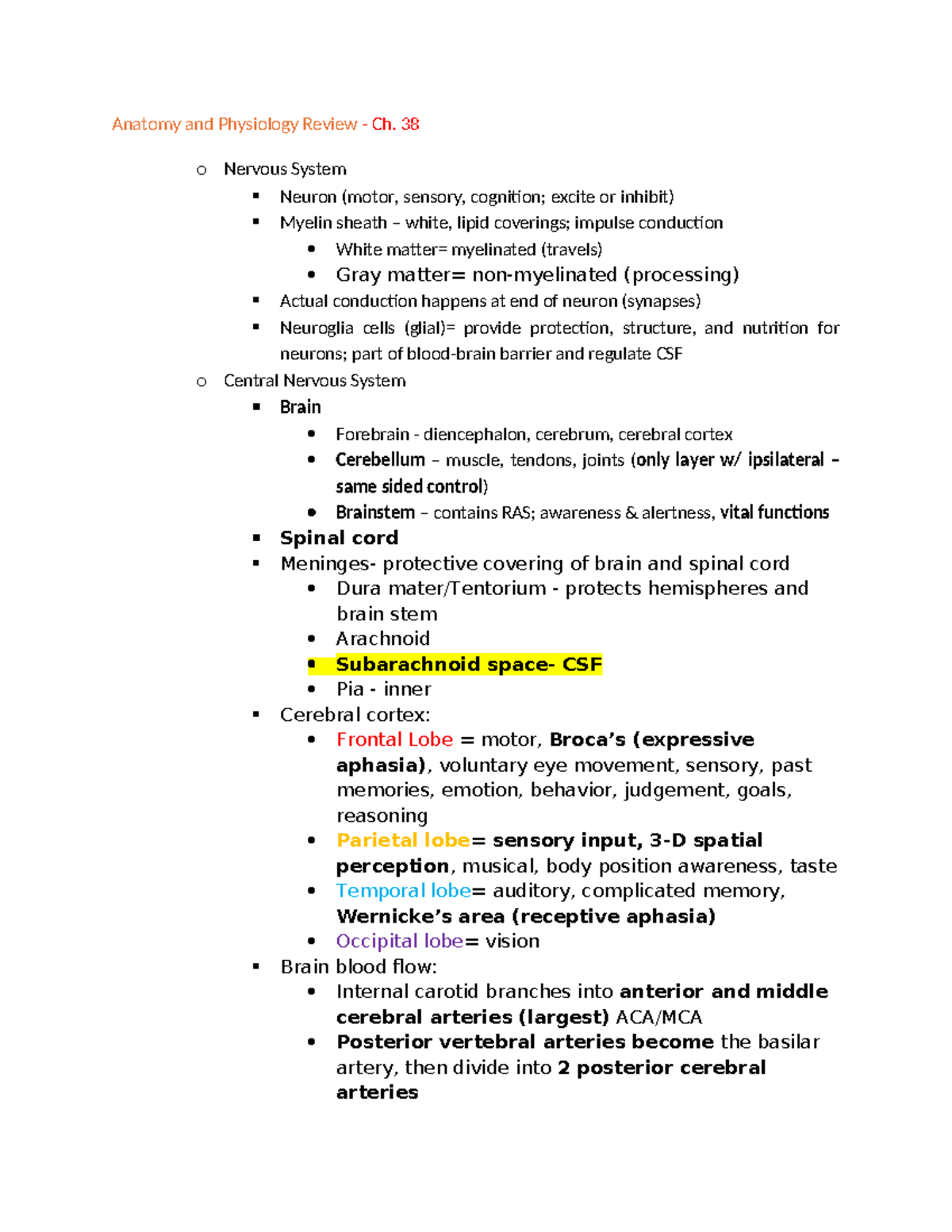Anatomy & Physiology Review: Nervous System Overview (Ch. 38) - Studocu