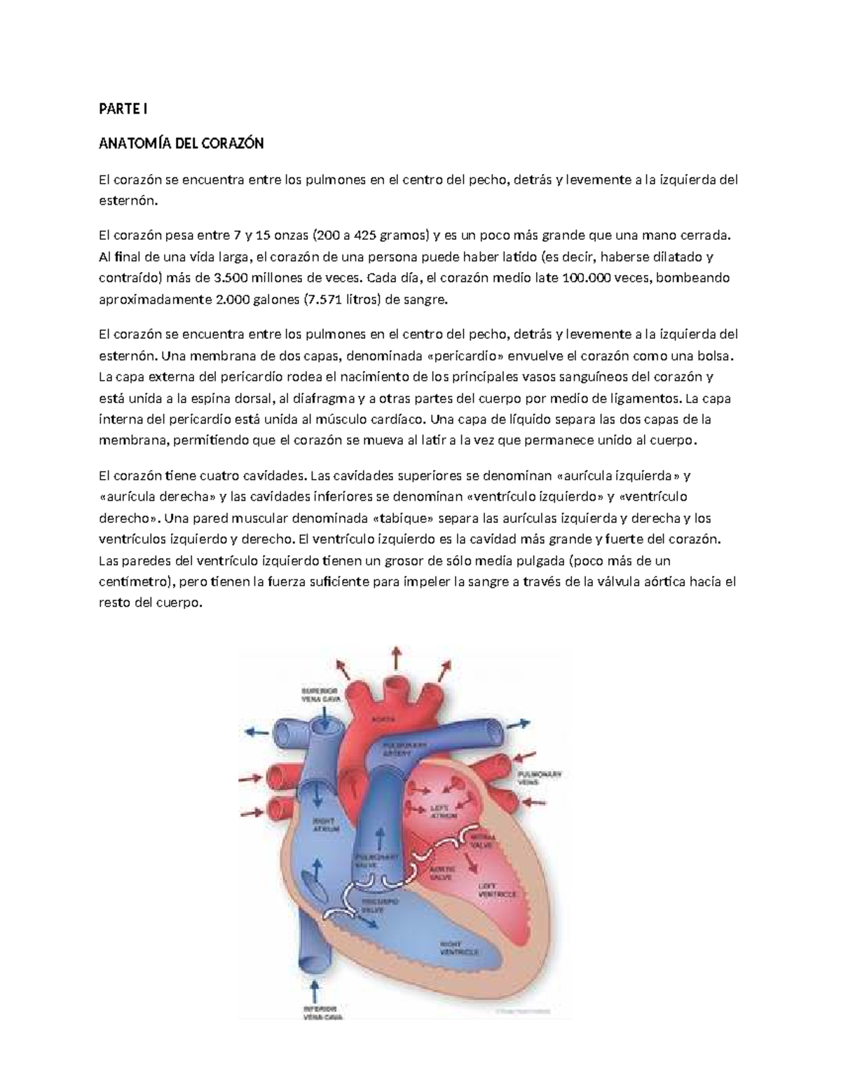 Fisiología y Fisiopatología del Sistema Cardiovascular - ANAT 101 - Studocu