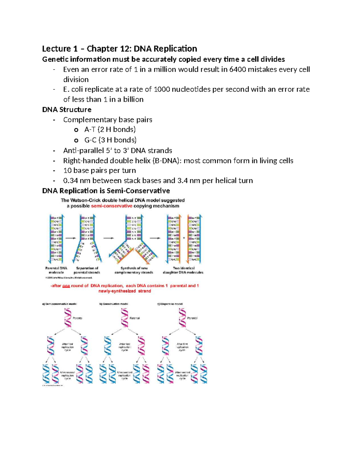 MBG2040 Final: Lecture 1 & 3 - DNA Replication Overview - Studocu