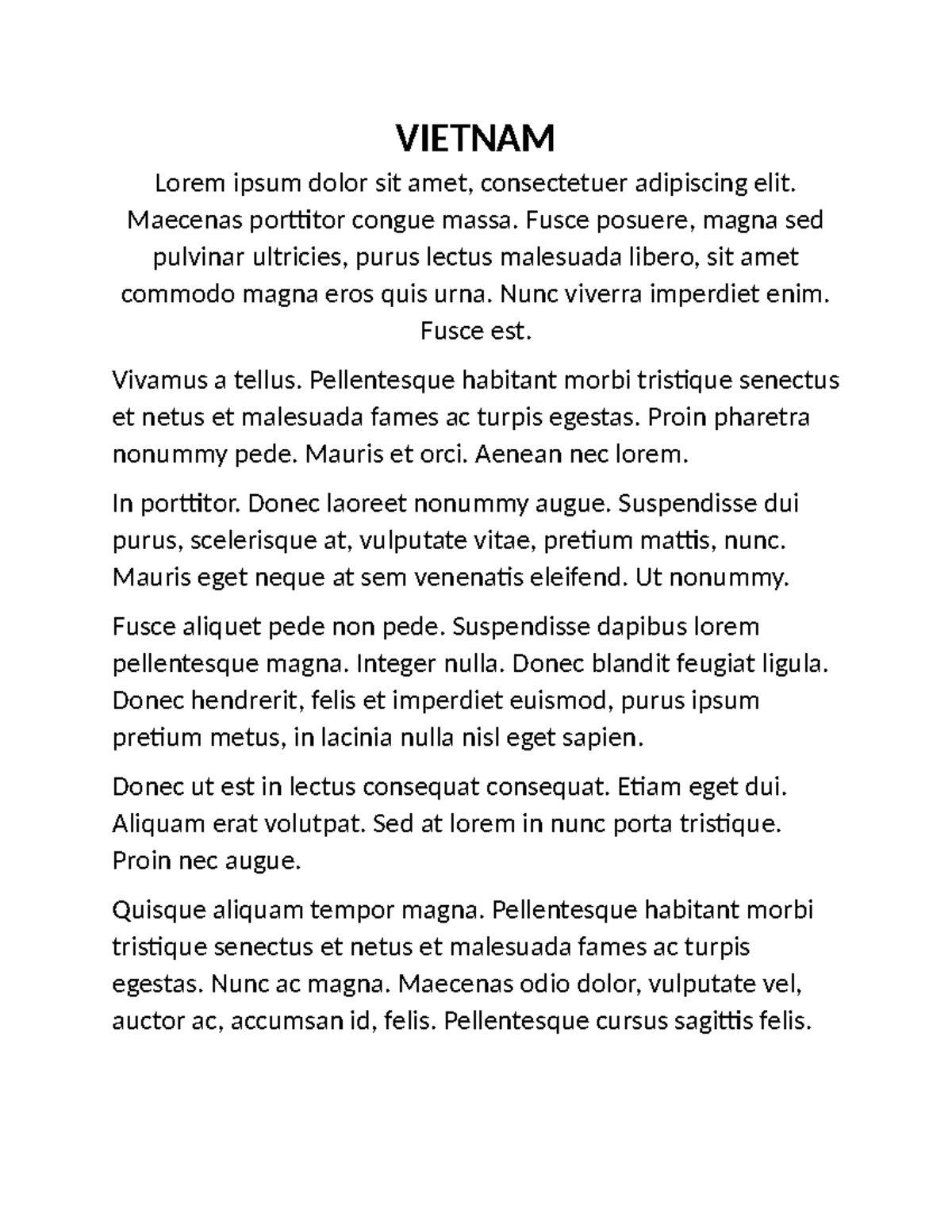 My visit on Vietnam Essay - VIETNAM Lorem ipsum dolor sit amet, consectetuer adipiscing elit ...