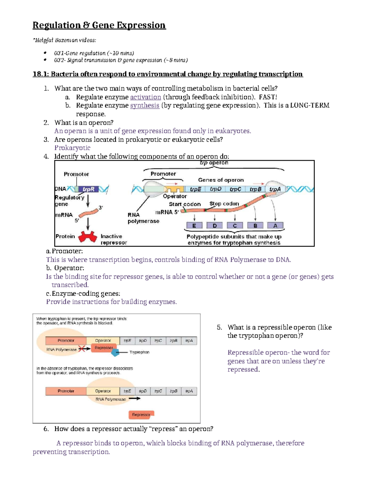 Gene regulation and operons and Biotechnology (2) - Regulation & Gene ...