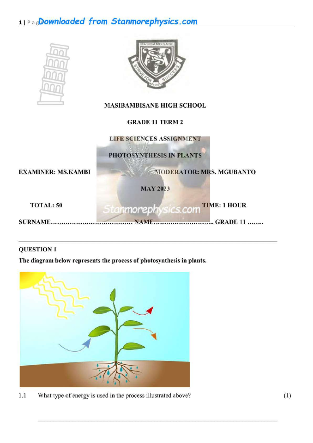 Grade 11 Life Sciences Term 2 Assignment: Photosynthesis Study Guide ...