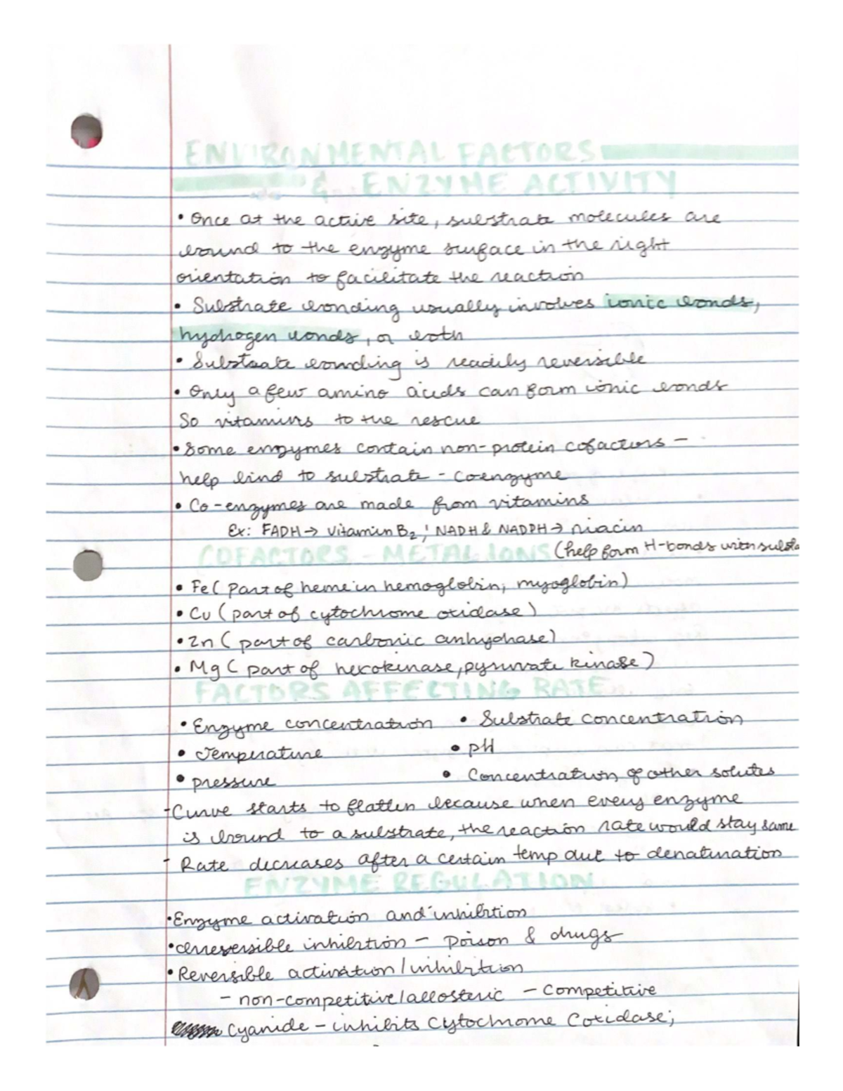 ENVIRONMENTAL FACTORS AFFECTING ENZYME ACTIVITY - Studocu