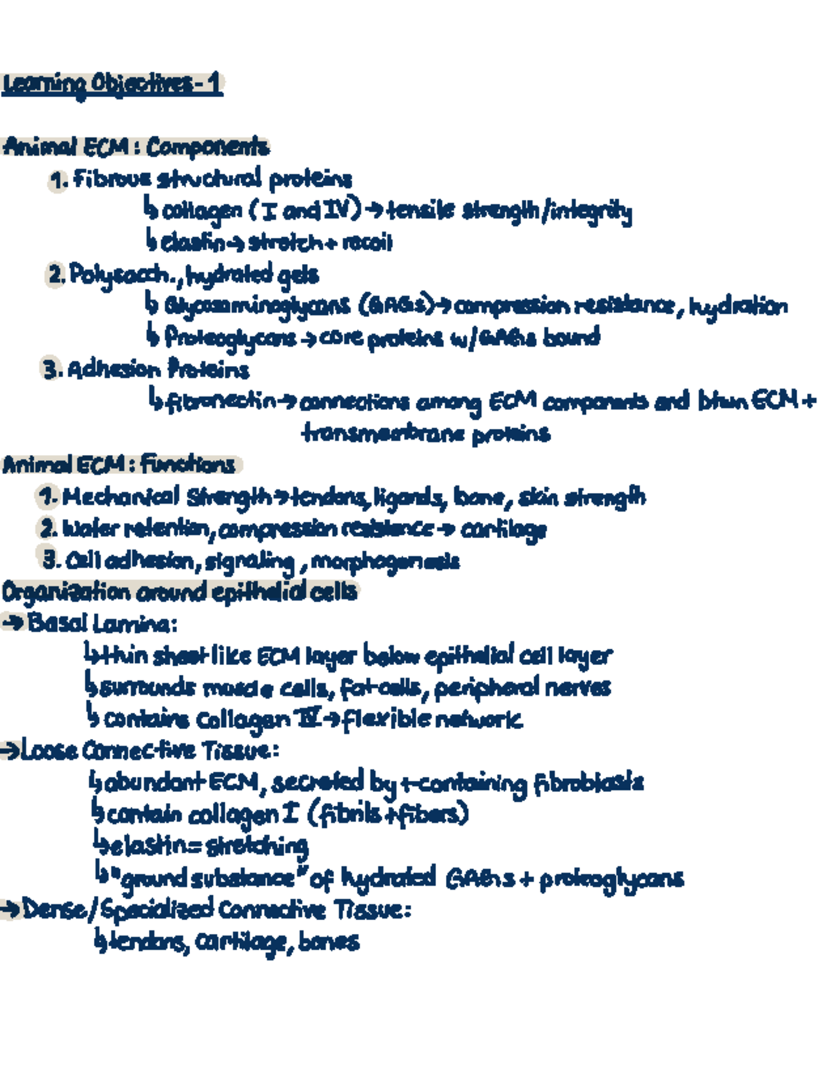 Lecture Notes on Animal and Plant ECM Components - Studocu